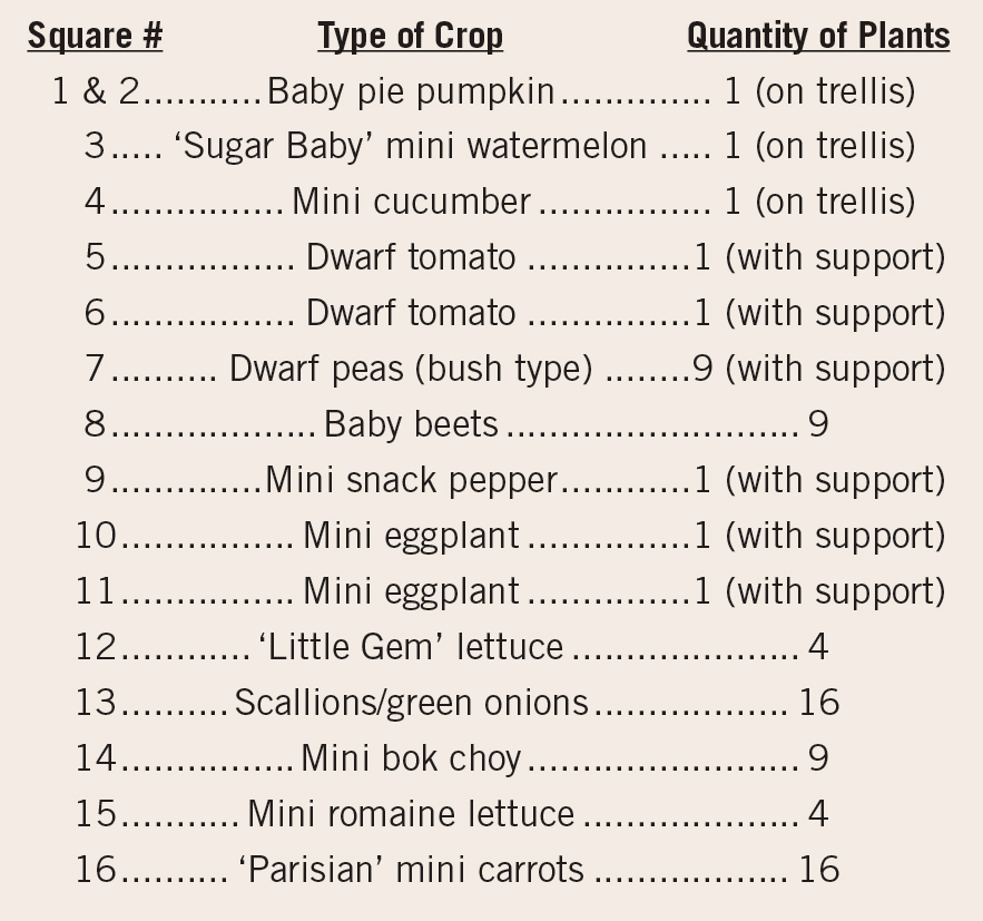 Square Foot Gardening in Cities – Mother Earth News